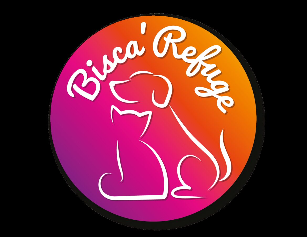 Bisca'Refuge - Biscarrosse (40)