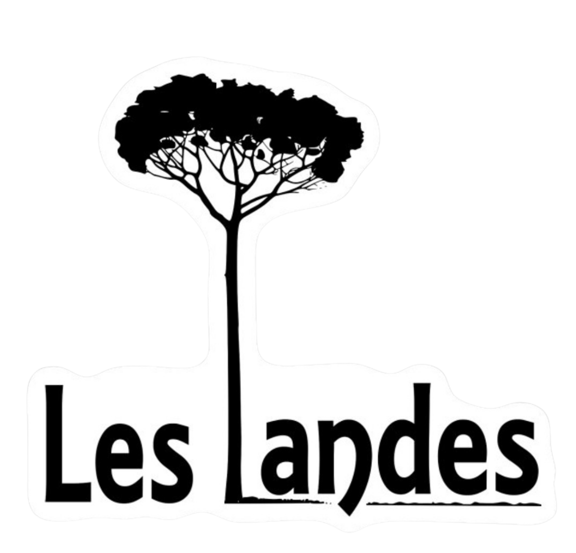 Les-Landes.fr - Biscarrosse (40)